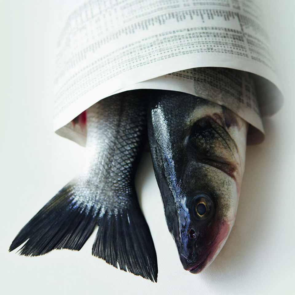 Osama bin Laden is Sleeping with Fishes | Jewish Museum Berlin